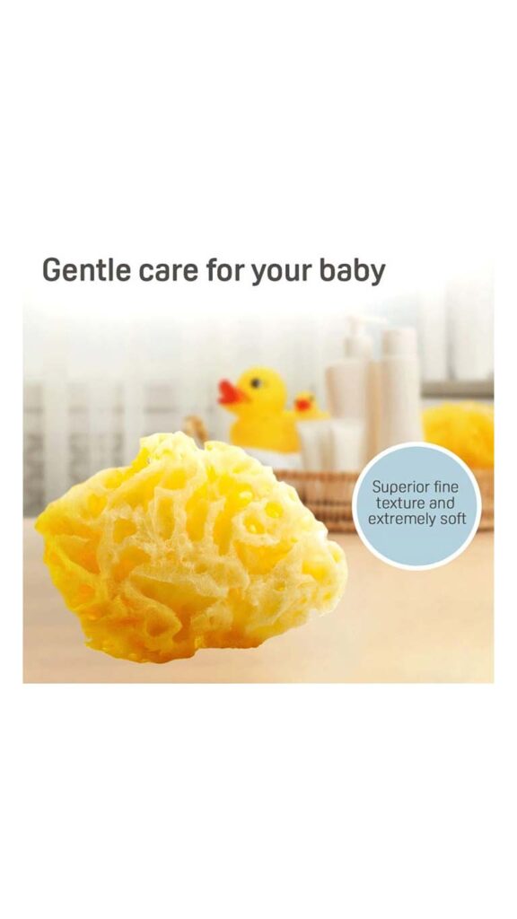 Pigeon Baby Sponge • Yuehlia